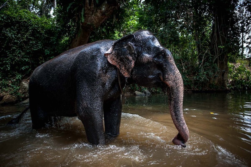 Dovolená Srí lanka - Radek Čech